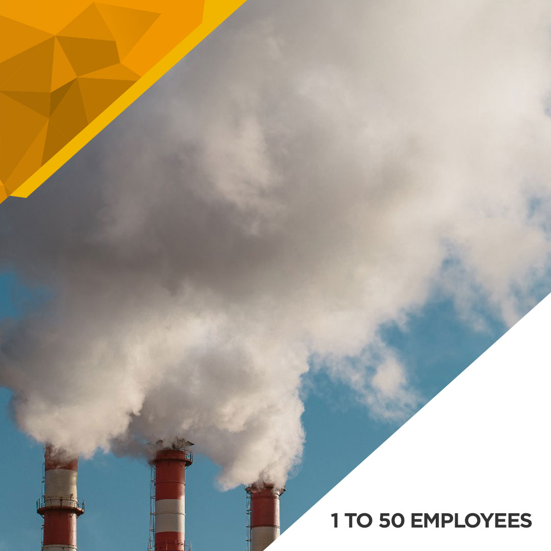 Airborne Pollutant Survey - 1 to 50 Employees